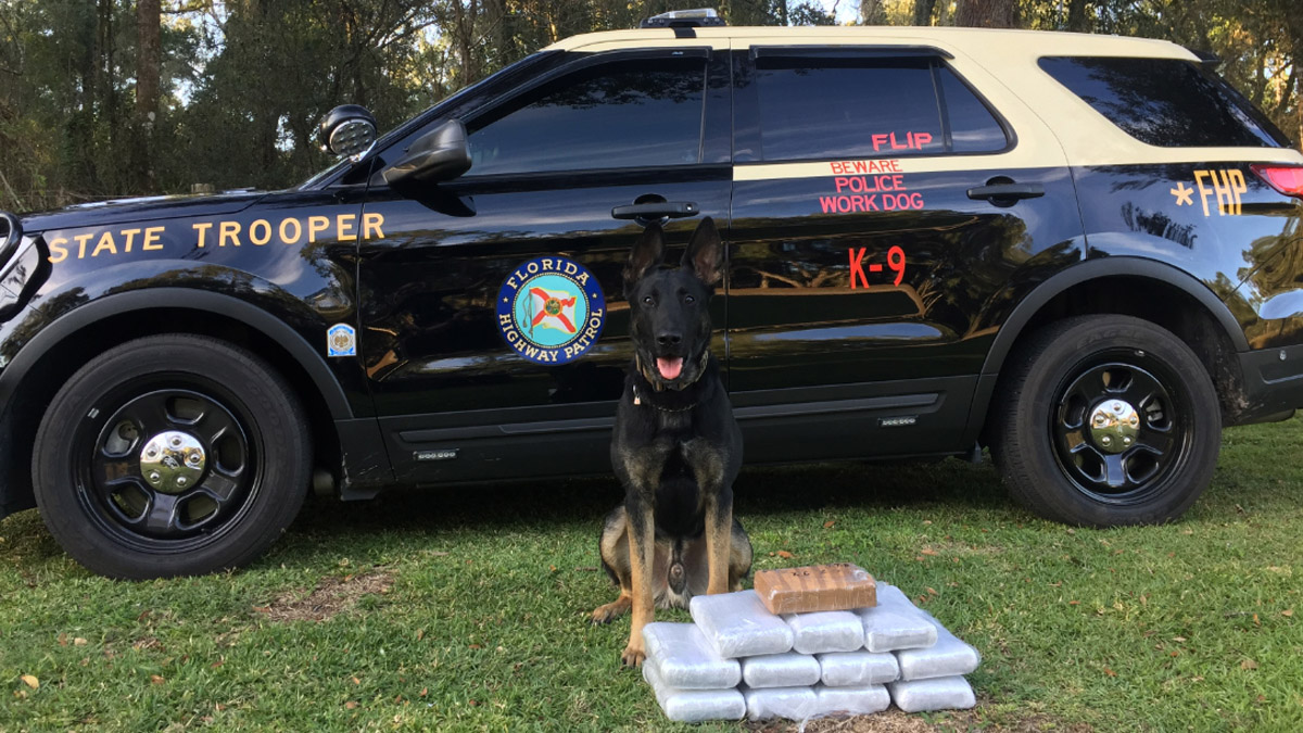 Florida Troopers Find $1.2 Million in Cocaine During Traffic Stop – NBC ...