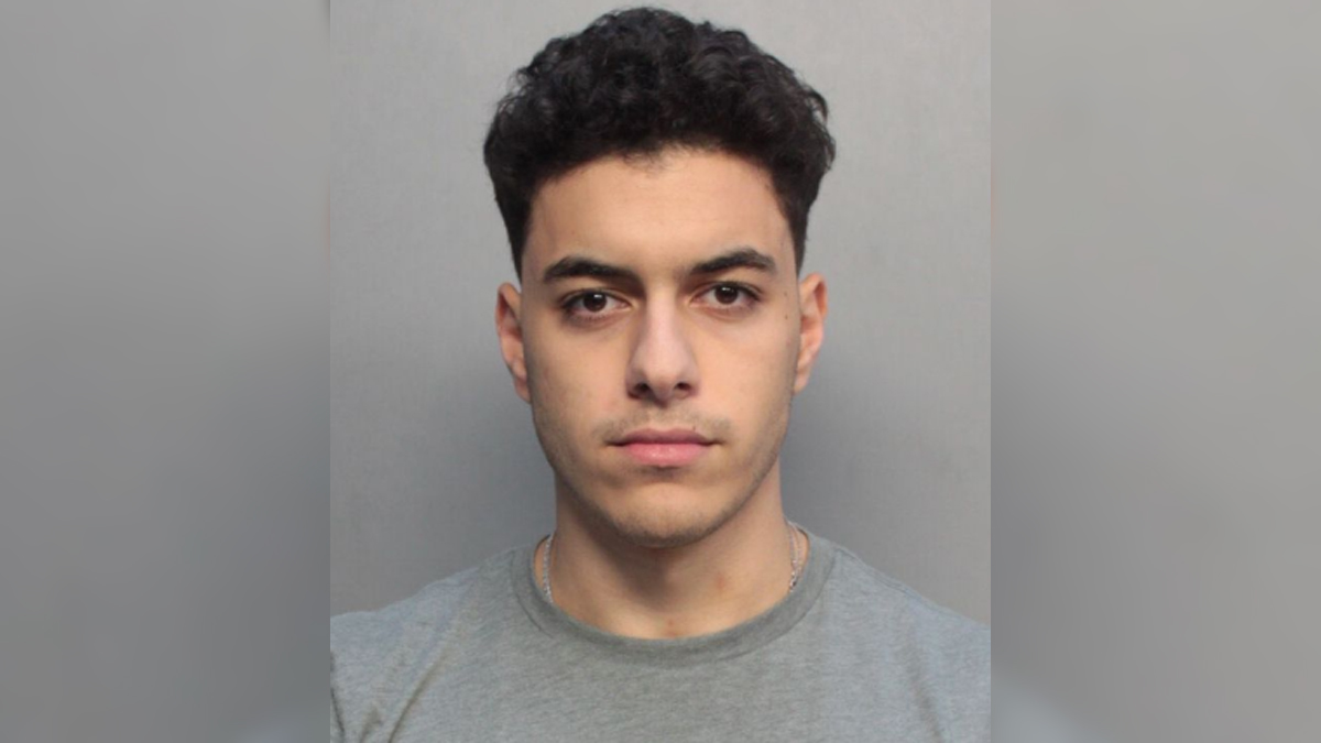 Video Shows Man Abusing Dog in Elevator of Brickell Condo: Cops – NBC 6 ...