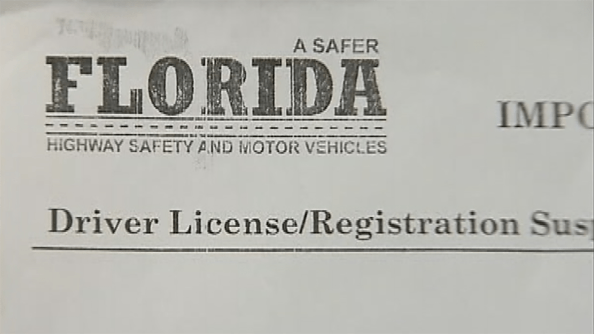 Florida issues advisory on driver’s licenses and IDs for non-immigrants ...
