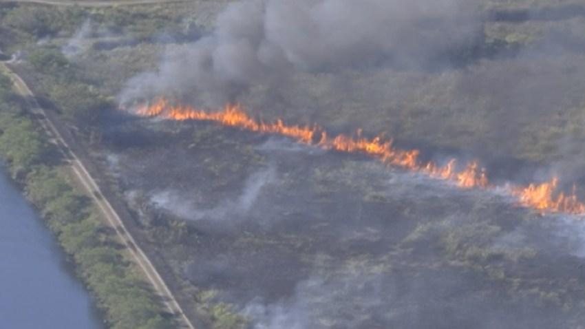 Broward Brush Fire Swells to Over 5,500 Acres, Threatens Holiday Park ...