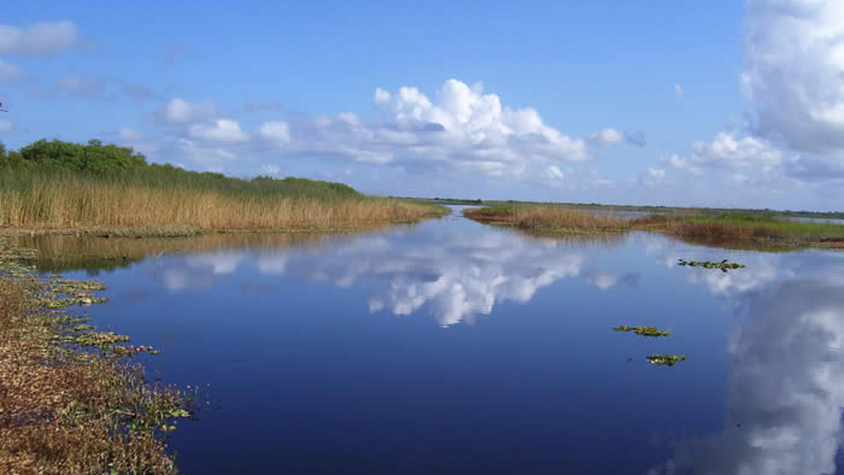Brevard County Getting More Money for Indian River Lagoon After Massive ...