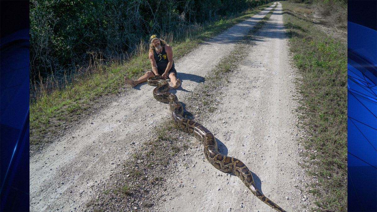 Barefoot Python Hunter Dusty “The Wildman” Crum Wrestles Huge Snake ...