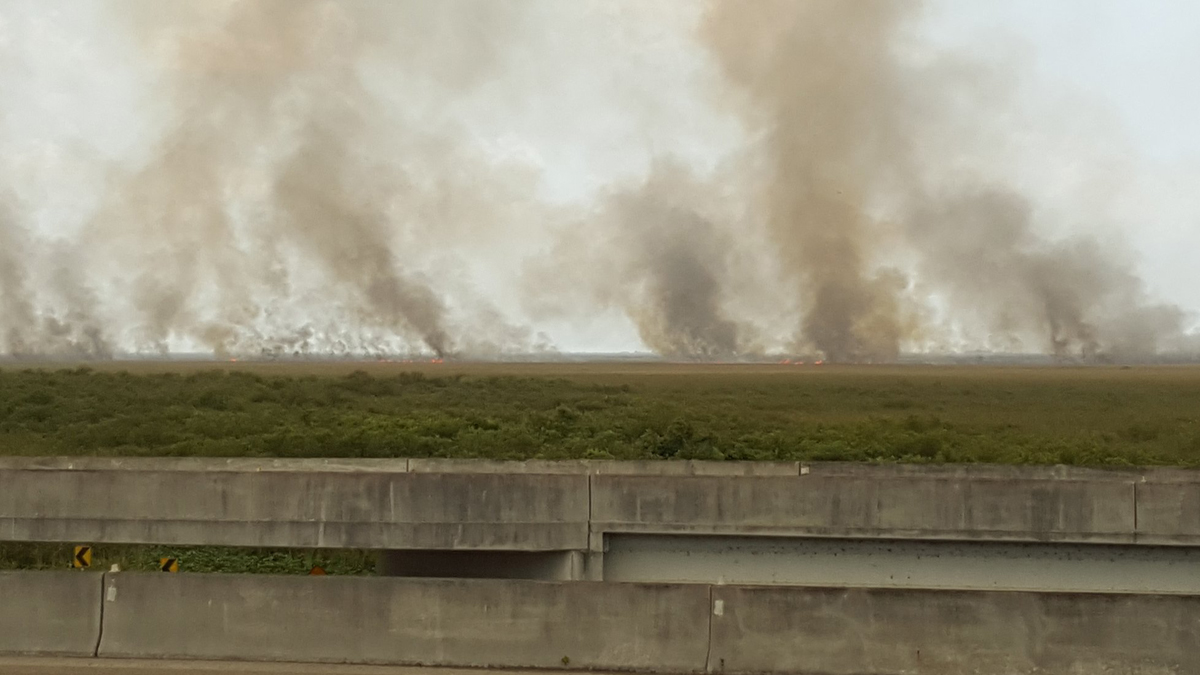 Gender Reveal Leads to Brush Fire in Central Florida Park: Officials ...