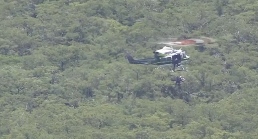Pilot Hurt After Helicopter Crashes in Wooded Area in Coconut Creek ...