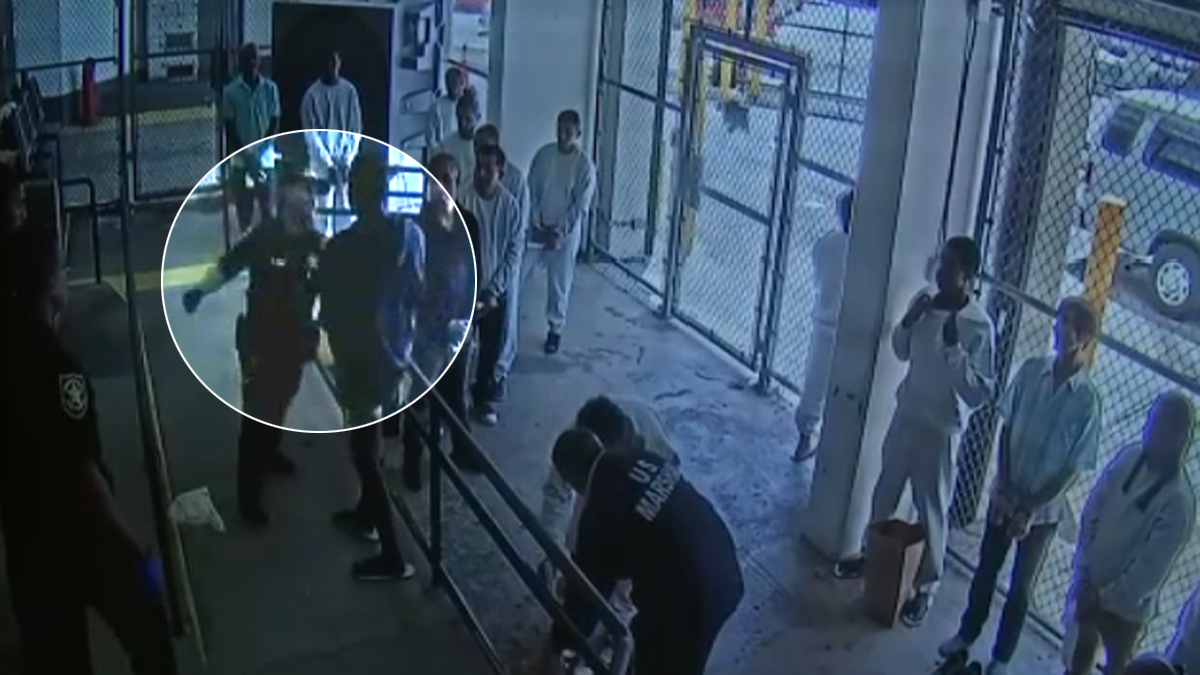 BSO Deputy Fired After Video Shows Him Punching Handcuffed Suspect ...