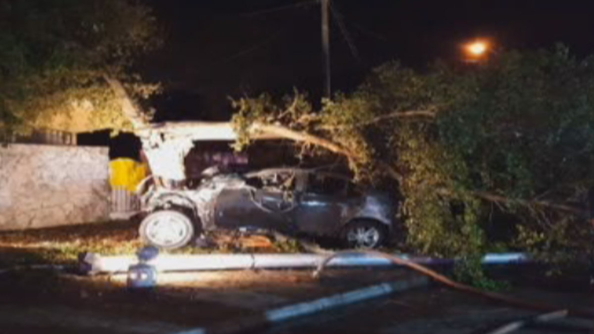 Bicyclist Driver Killed In Fiery Crash In Miami Nbc 6 South Florida