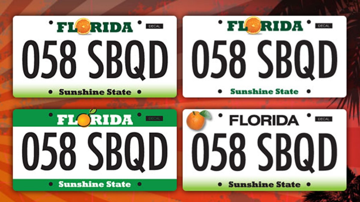 What Florida law says about car license plates – NBC 6 South Florida