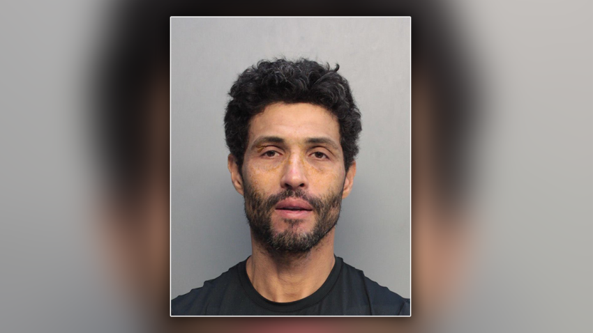 S. Florida Man Arrested For Choking, Beating Dog in Miami Beach: Report ...