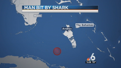 Coast Guard Responds to Reported Shark Attack in Bahamas – NBC 6 South ...