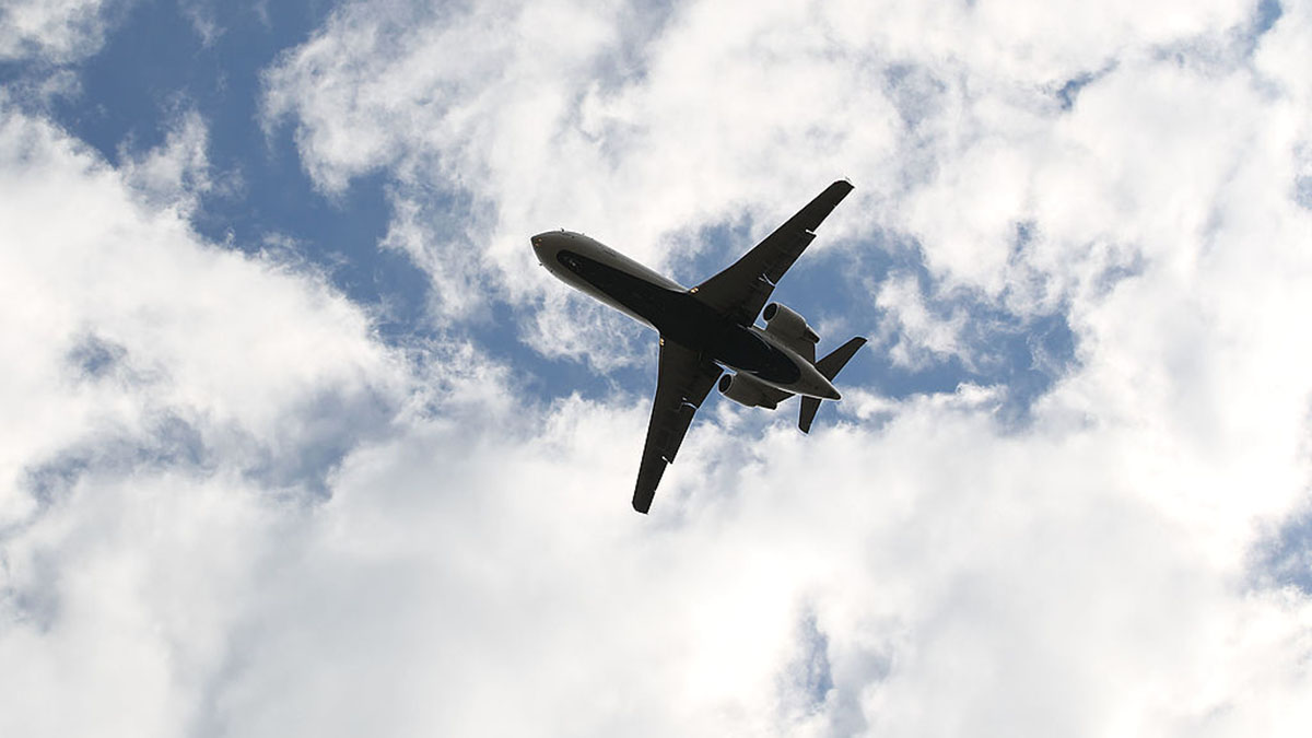 South Florida man guilty of posing as flight attendant to fly for free ...