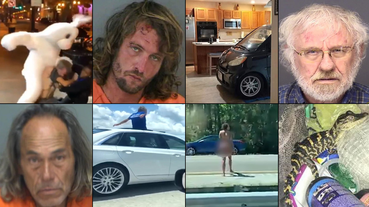 The Top ‘Florida Man’ Stories of 2019 – NBC 6 South Florida