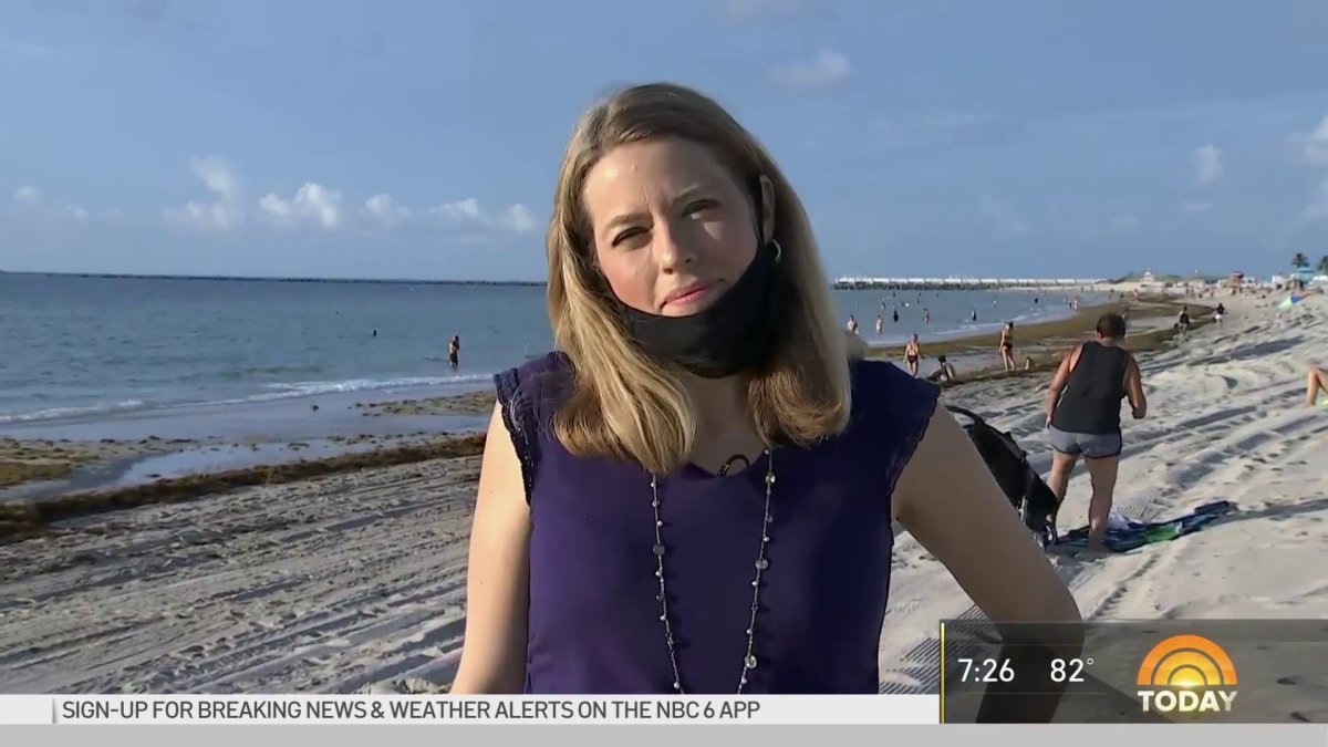 Beaches Now Back Open in Miami-Dade – NBC 6 South Florida