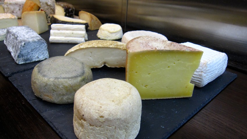 Illegal Cheese Heads Sentenced to Hard Time – NBC 6 South Florida