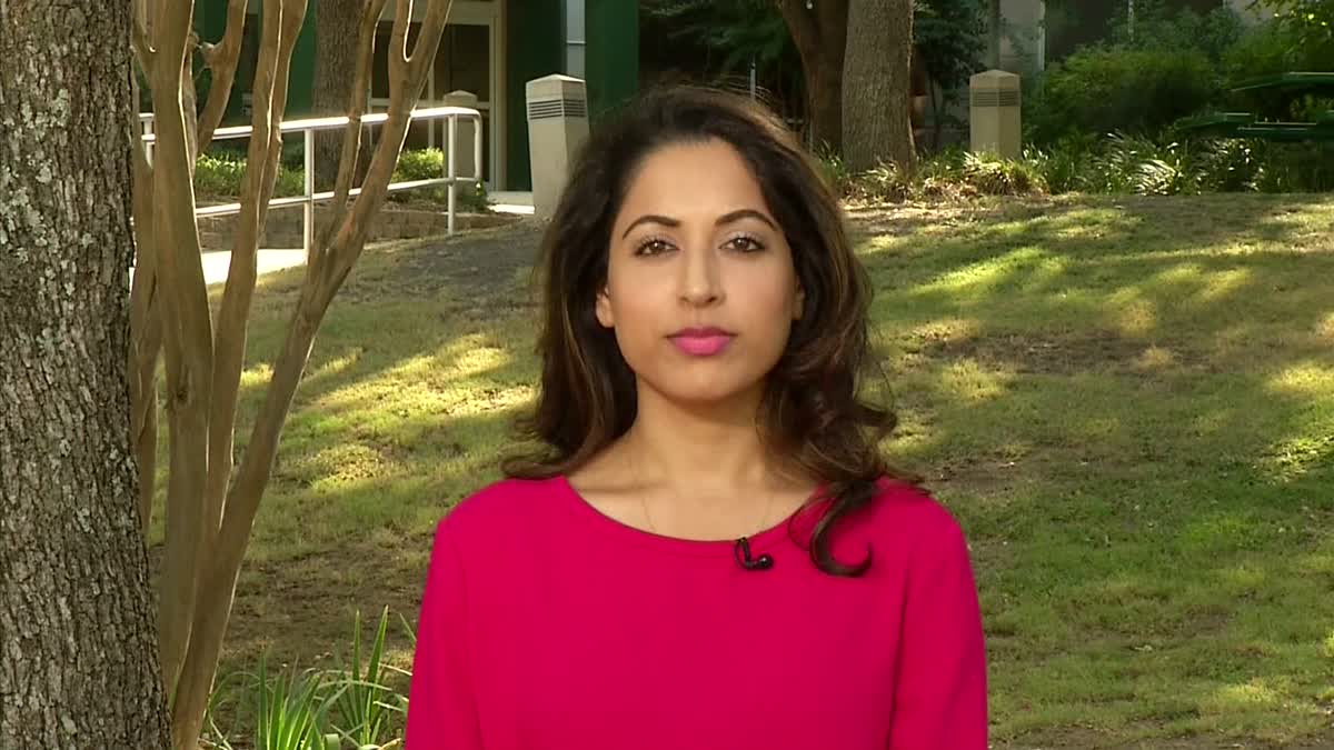 Can Mosquitoes Carry Ebola? And Other Questions Answered – NBC 6 South ...