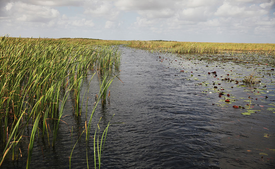 Gov. DeSantis, Army Corps Reach Deal on Major Everglades Project – NBC ...