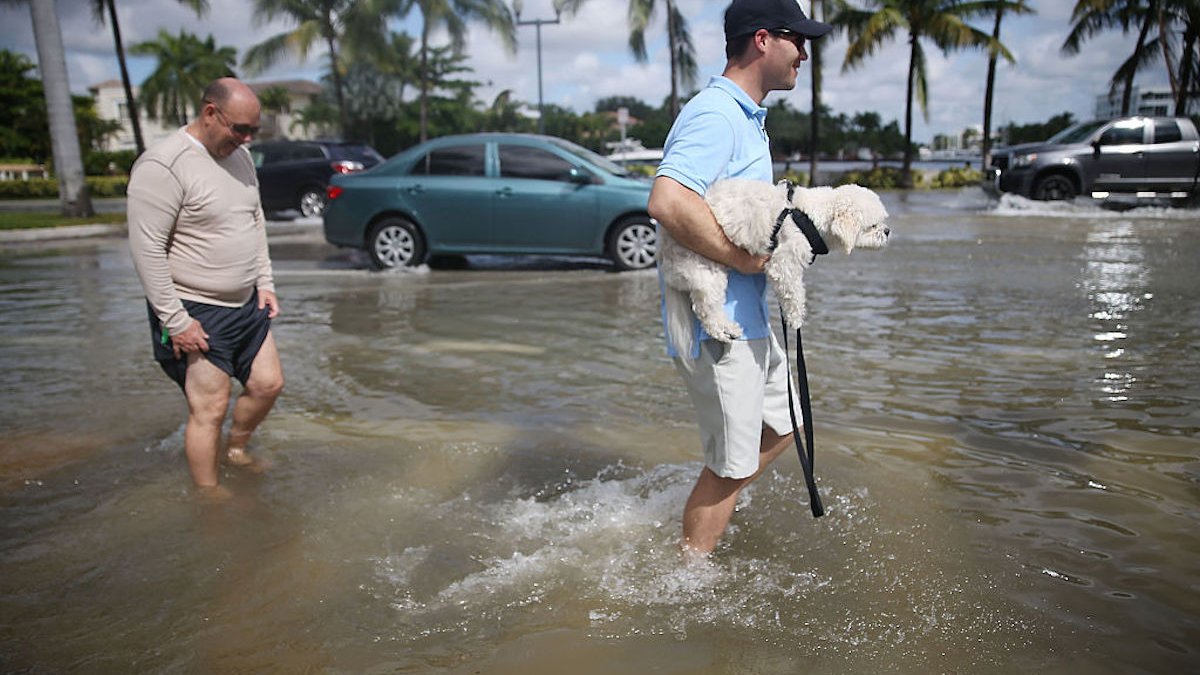 Flood Watch in Effect for Parts of South Florida, More Downpours Ahead ...