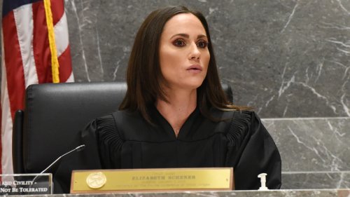 Judge Elizabeth Scherer, From Parkland School Shooting Case, Resigns ...