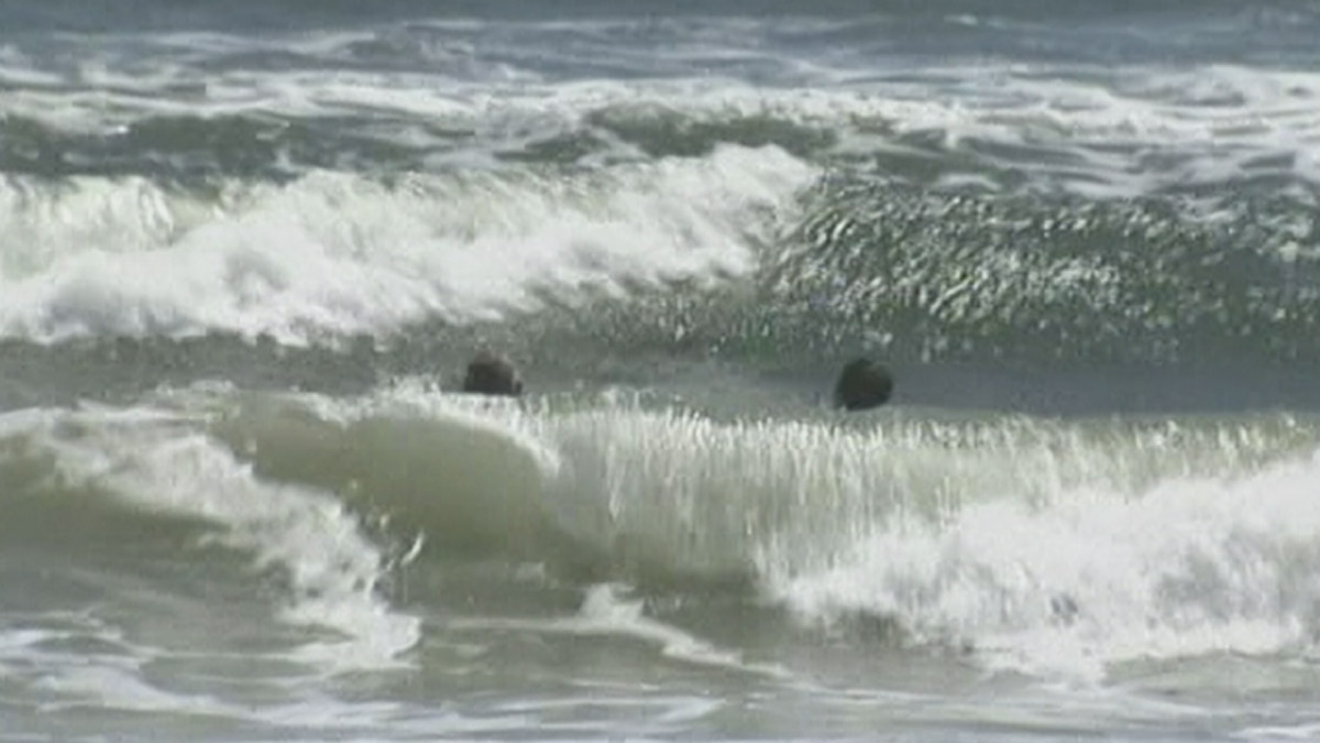 Forecasters Warn of Rip Currents on Gulf Beaches – NBC 6 South Florida