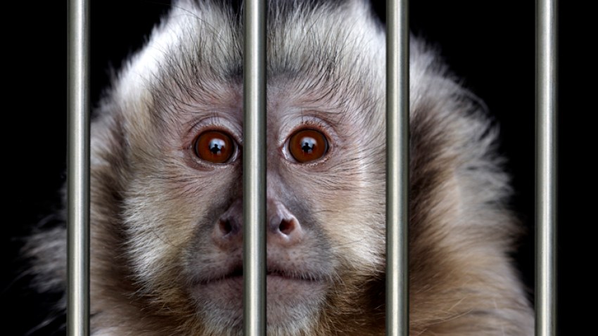 Cuban Rum, Tobacco and Hotels No Longer Allowed for American Travelers ...