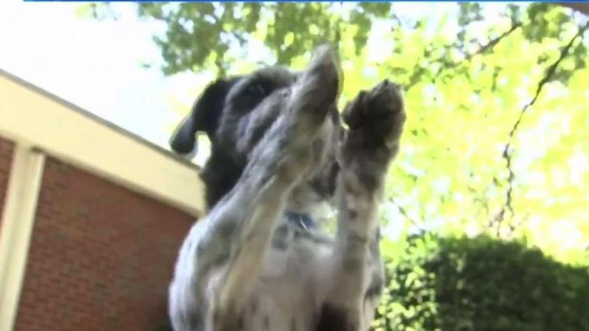 Tragic Murders on FSU Campus by Serial Killer Ted Bundy Remembered 40 ...