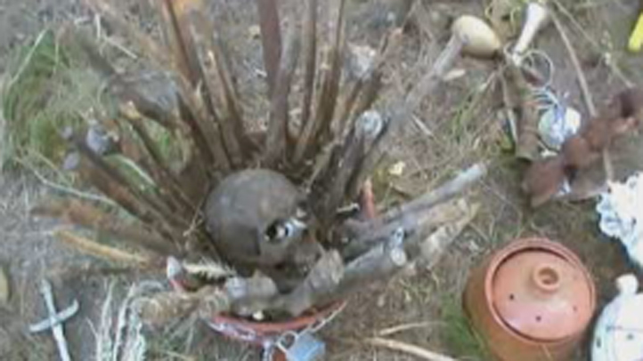 Sacrificial Ritual Site With Machetes, Animal Remains, Human Skull ...