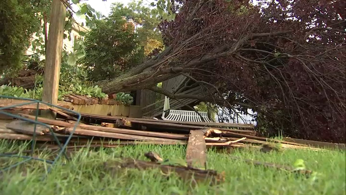 Comedian Lenny Schultz Still Bringing the Laughs at 83 – NBC 6 South ...