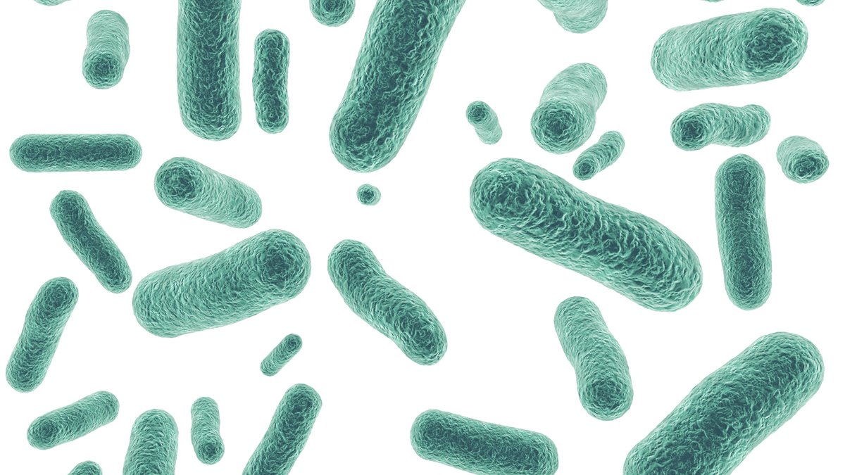 Flesh eating bacteria in Florida – NBC 6 South Florida