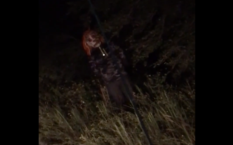 Creepy Clown Sightings Have Spread to Florida – NBC 6 South Florida