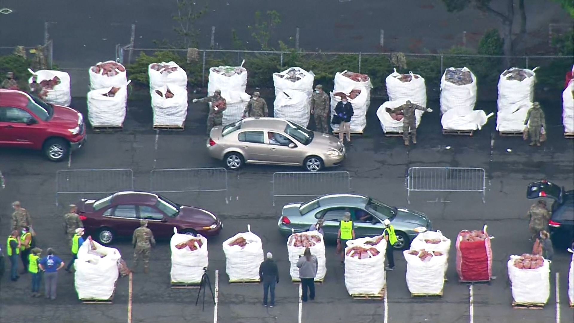 Alejandro Ripley A Woman Claimed Her 9 Year Old Son Was - emsekflol.com