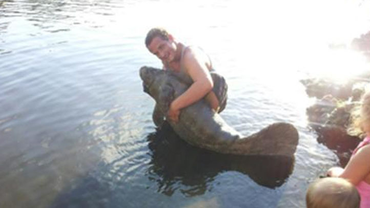 Florida Man Arrested After Posting Facebook Photos Of Manatee