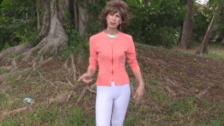 Prancercise Creator to Lead a Contest at Seminole Casino – NBC 6 South ...