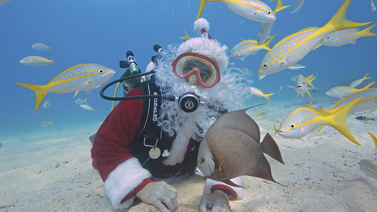 Scuba Santa Takes a Dive in the Florida Keys, All in the Spirit of ...