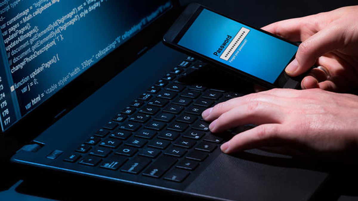 Matthew Frederic Bergwall of University of Miami charged by DOJ in ...