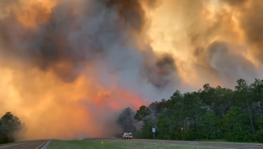 Large Southwest Florida Brush Fire Is 60% Contained: State – NBC 6 ...