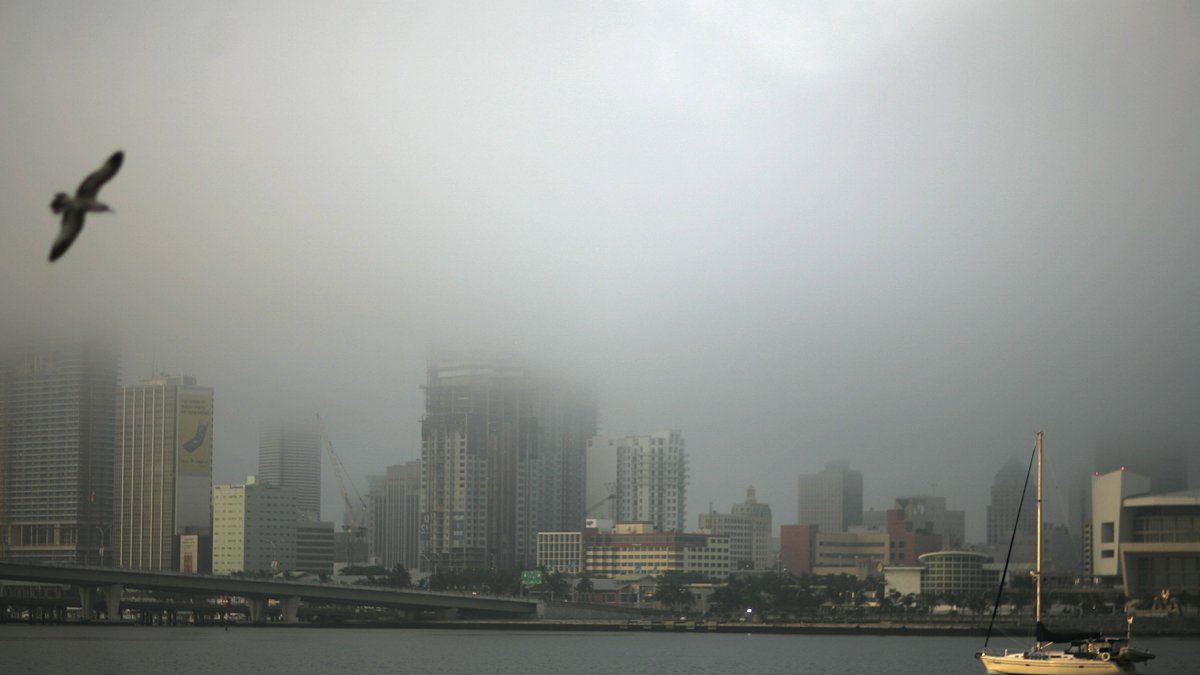 Foggy Morning Across South Florida Ahead of Warmer Tuesday Afternoon ...