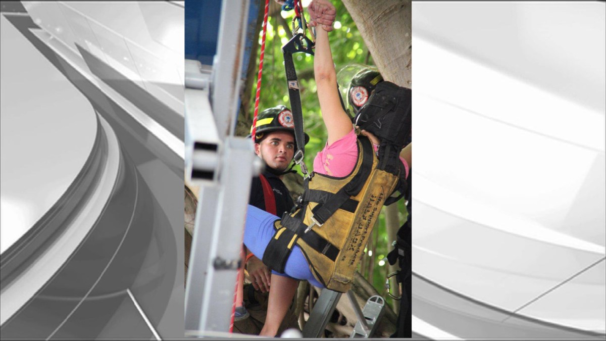 Miami Firefighters Rescue Woman Stuck in Tree at Bayside Marketplace ...