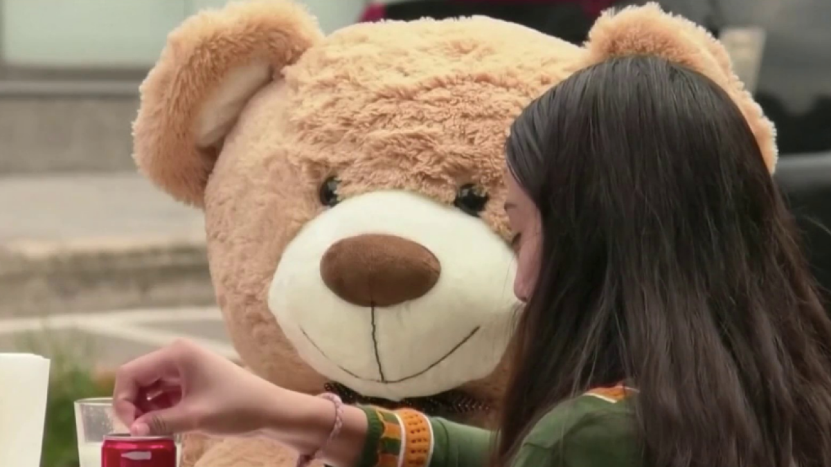 Teddy Bears Used at Restaurant in Mexico for Social Distancing – NBC 6 ...