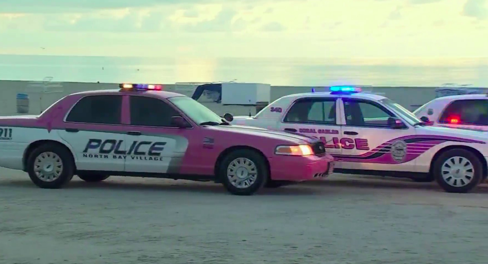 Police Forces Debut Pink Cars for Breast Cancer Awareness Month – NBC 6 ...