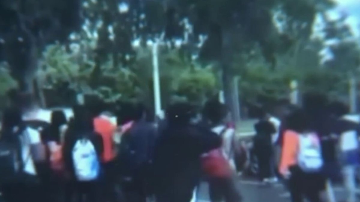 BSO Deputies Recount History of Trouble at Tamarac Plaza Where Teen Was ...