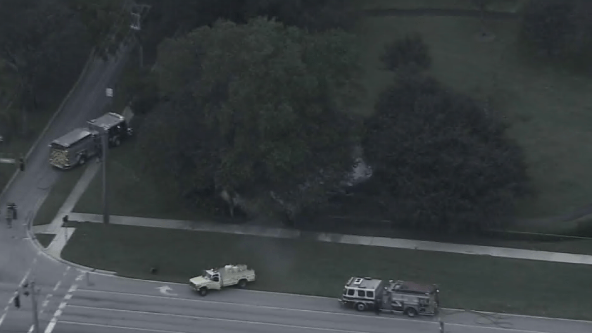 Police Identify Pilot, Passengers Hospitalized in Pembroke Pines Small ...