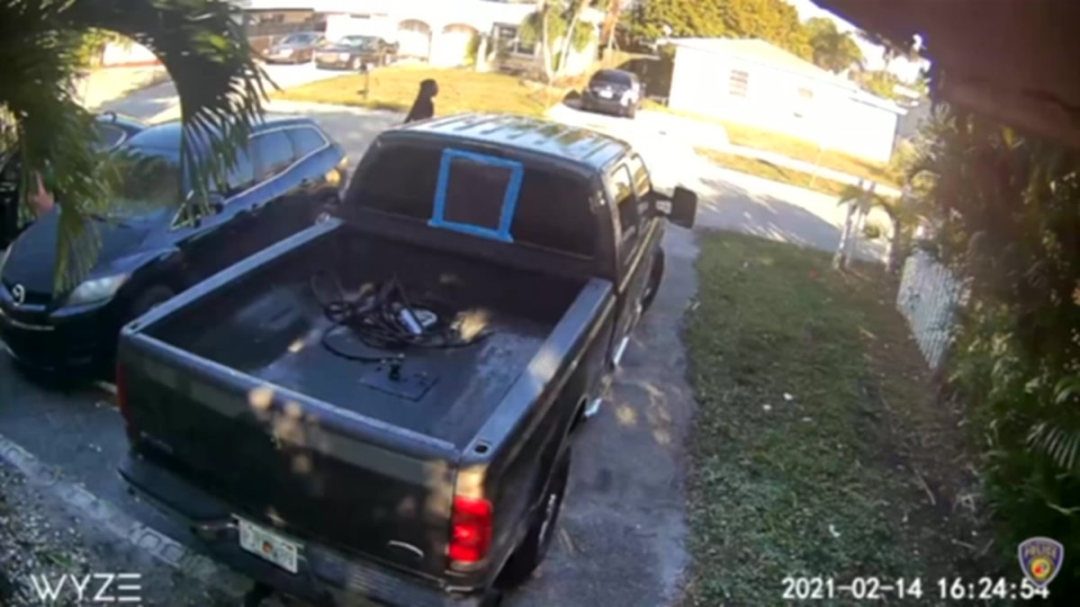 Fort Lauderdale Murder Caught on Camera – NBC 6 South Florida