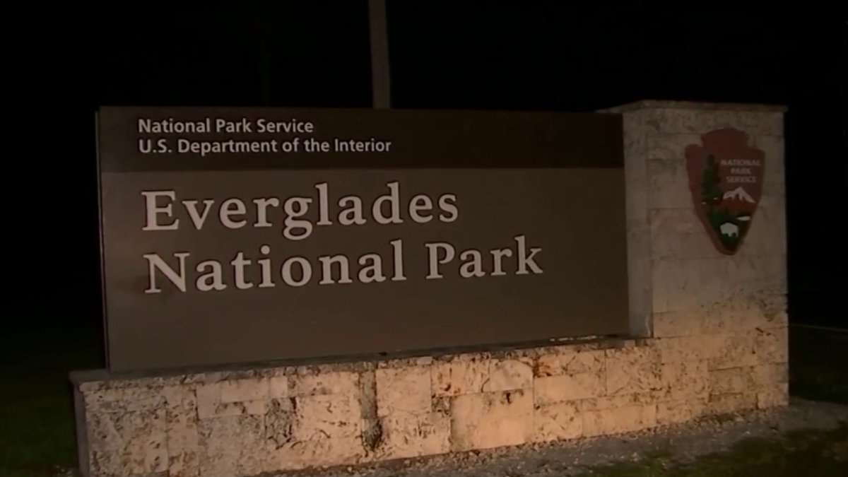 Man in Custody After Shooting at Park Rangers in Everglades National ...