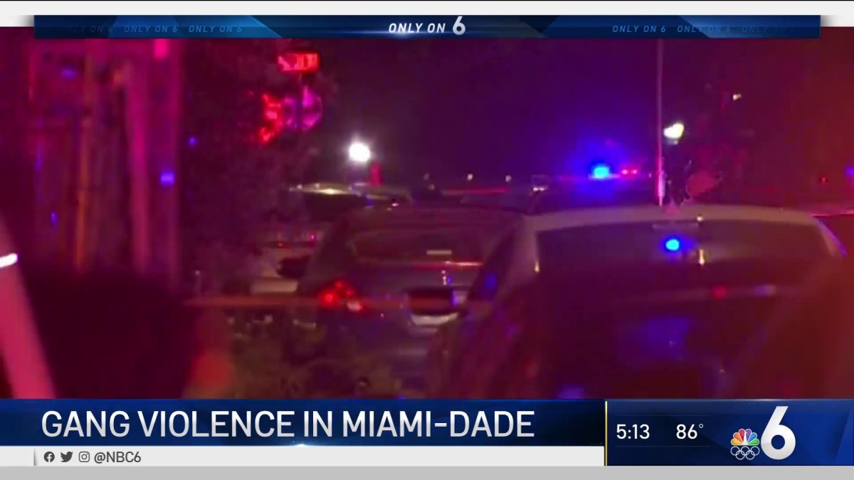 Combatting Gang Violence in Miami-Dade – NBC 6 South Florida