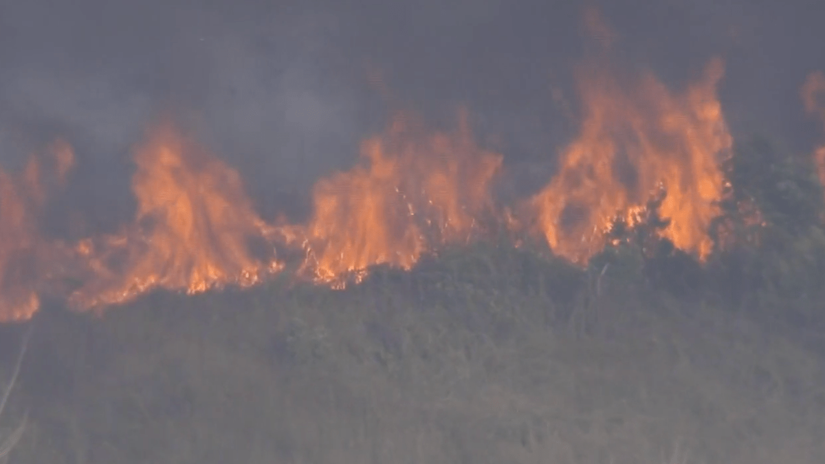 Crews Working to Extinguish Massive Brush Fire in Homestead – NBC 6 ...
