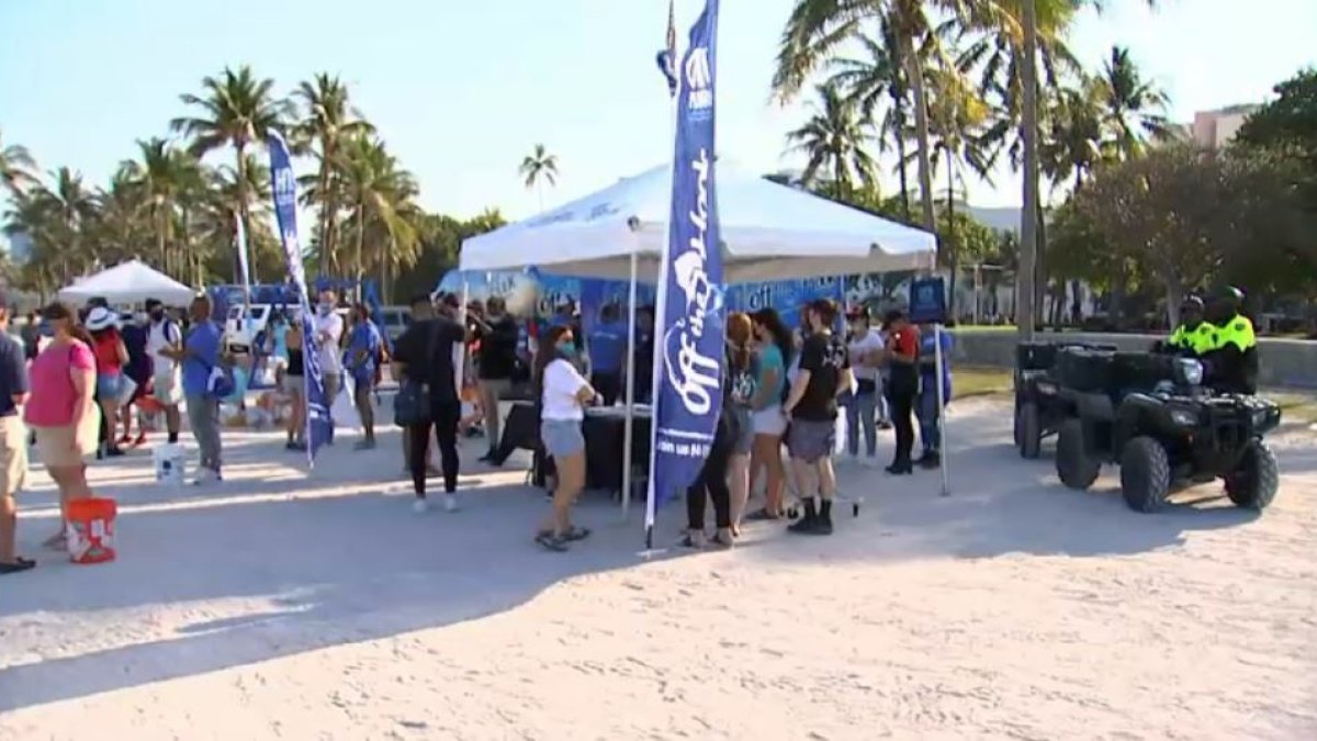 Only In Dade Teams Up With Local Organizations For Miami Beach Clean-Up ...