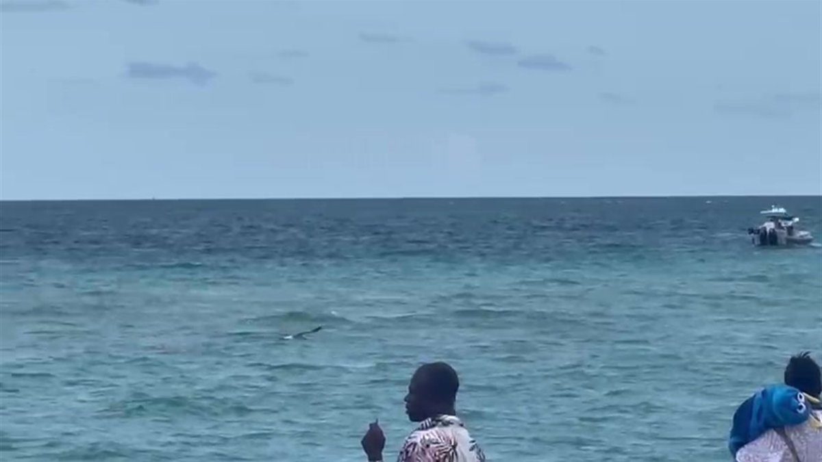 Search Underway After Male Swimmer Reported Missing in Haulover Beach ... Search Underway After Male Swimmer Reported Missing in Haulover Beach ...