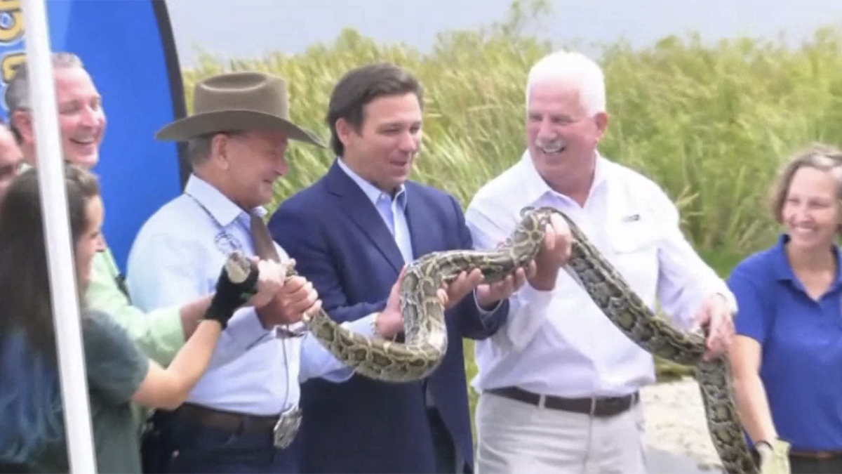 Florida Gov. Kicks Off 2021 Python Challenge in Miami-Dade – NBC 6 ...
