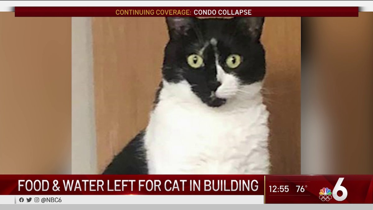Family Leaves Cat in Apartment Following Surfside Condo Collapse – NBC ...
