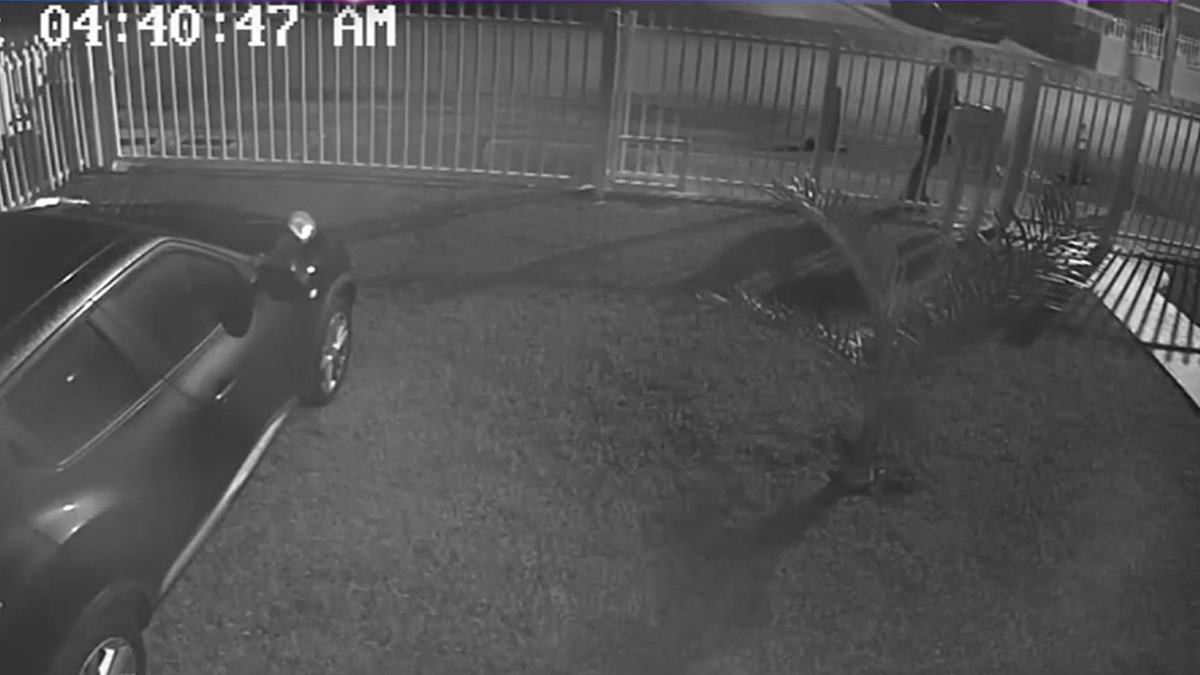Mailbox Thief Caught on Camera Going Door To Door in Grapeland Heights ...