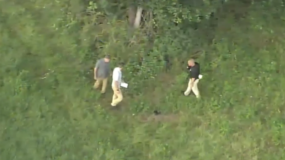 Man’s Body Found in Wooded Area Off I-95 in Pompano Beach – NBC 6 South ...